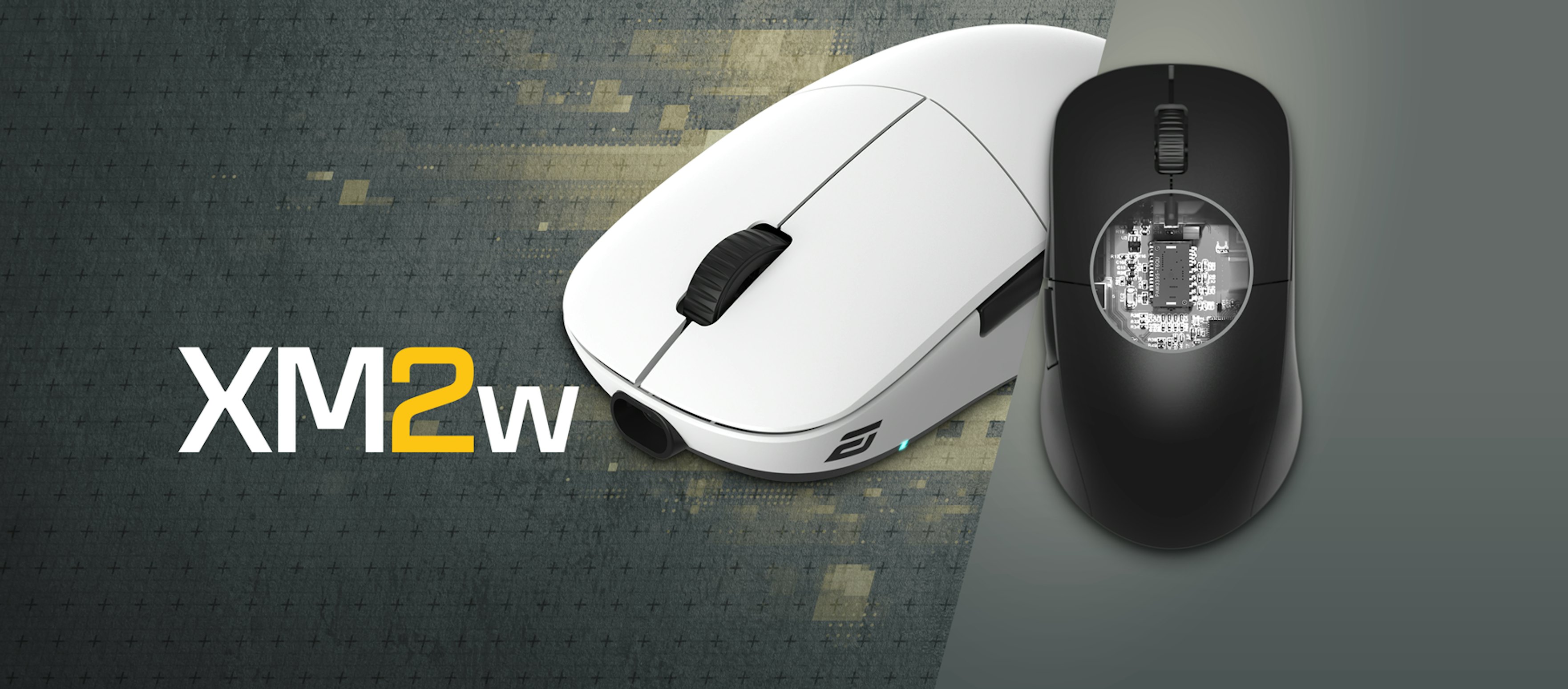 The Game Changer | Endgame Gear