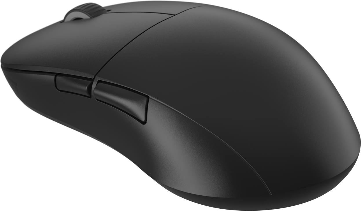 Endgame Gear XM2we mouse | Endgame Gear